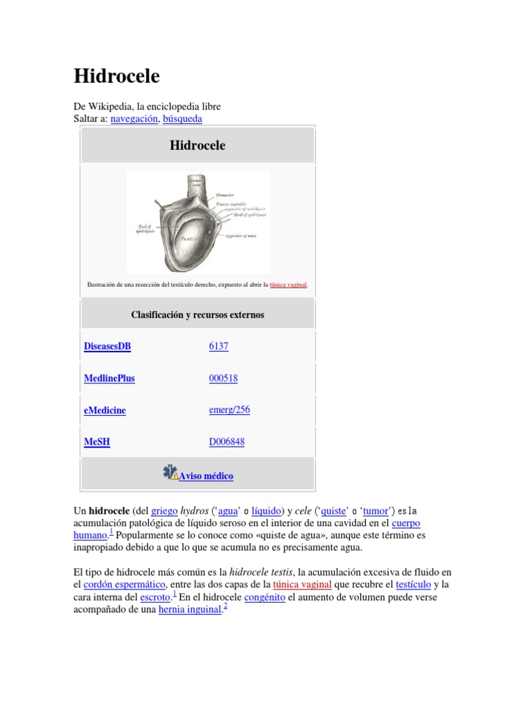 Hidrocele | PDF | Enfermedades y trastornos | Especialidades Medicas