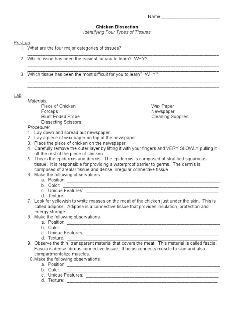 chicken dissection | Tissue (Biology) | Muscle