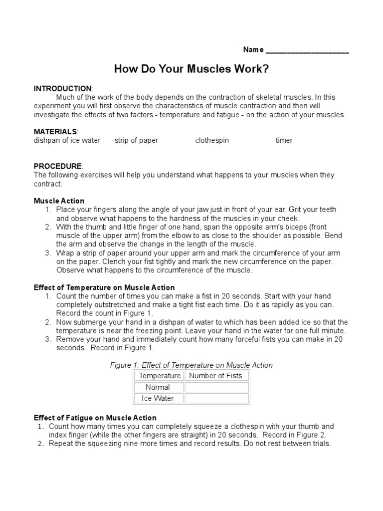 Muscle Fatigue Lab | Download Free PDF | Muscle | Hand