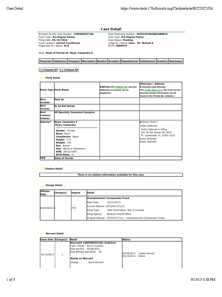 Case Detail | PDF | Surety Bond | Arrest Warrant