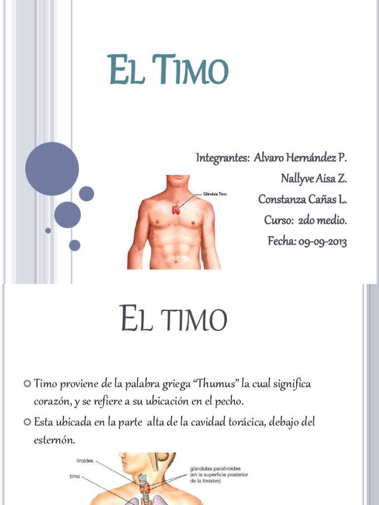 El Timo | PDF