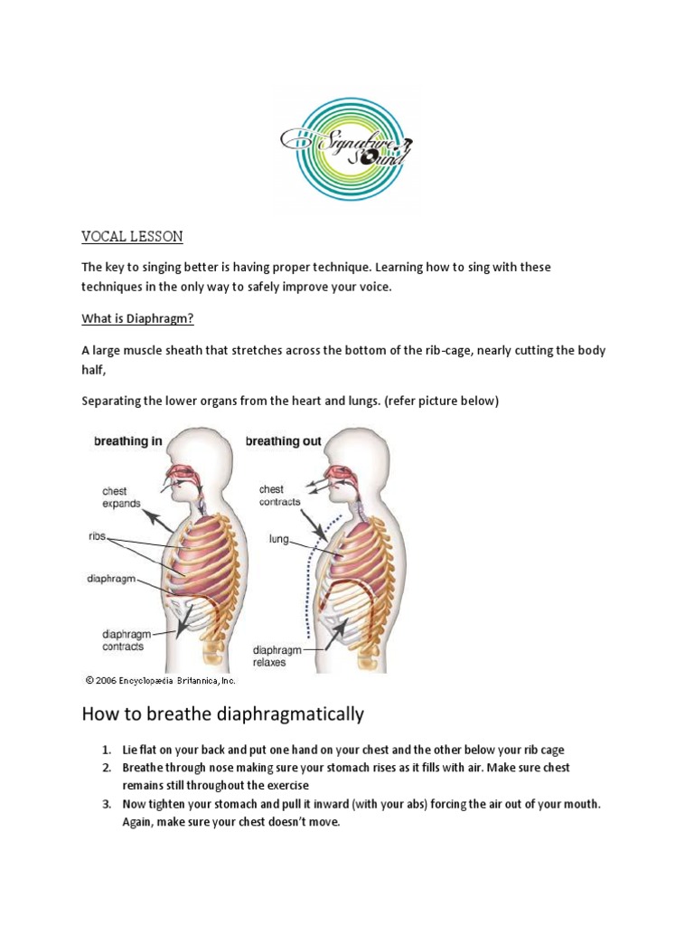 Vocal Lesson 1 | PDF