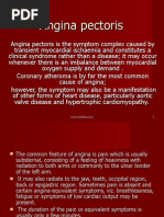 Anginal Equivalents | PDF