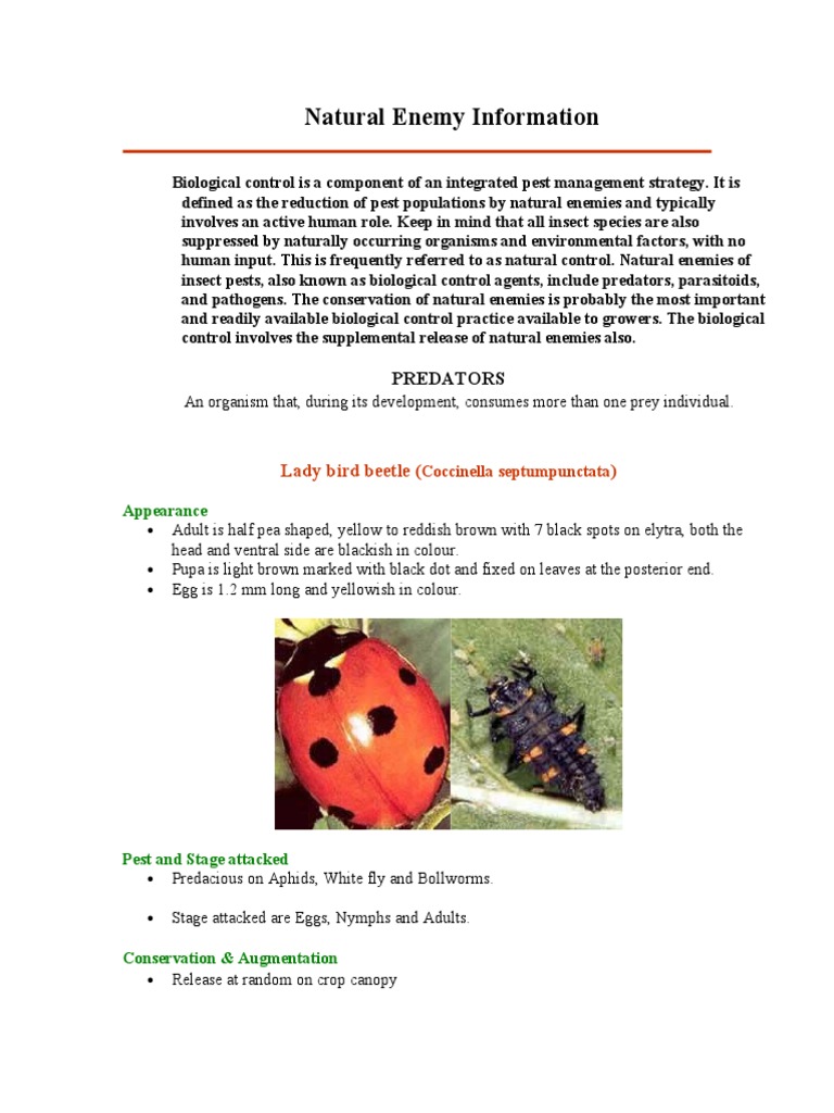 Natural Enemy Information | PDF | Biological Pest Control | Predation