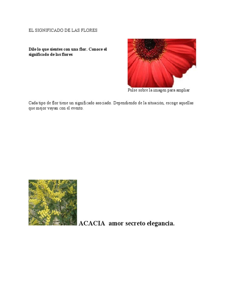 Significado de las flores y su simbolismo | PDF