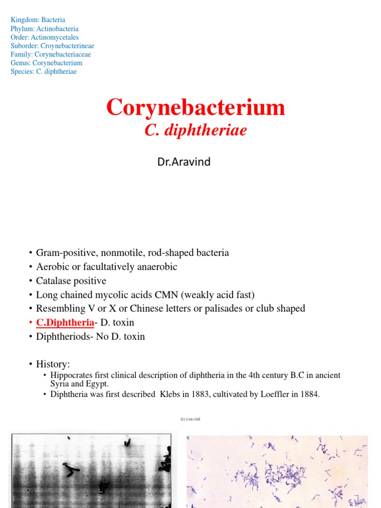 Corynebacterium Diphtheriae Chinese Letters