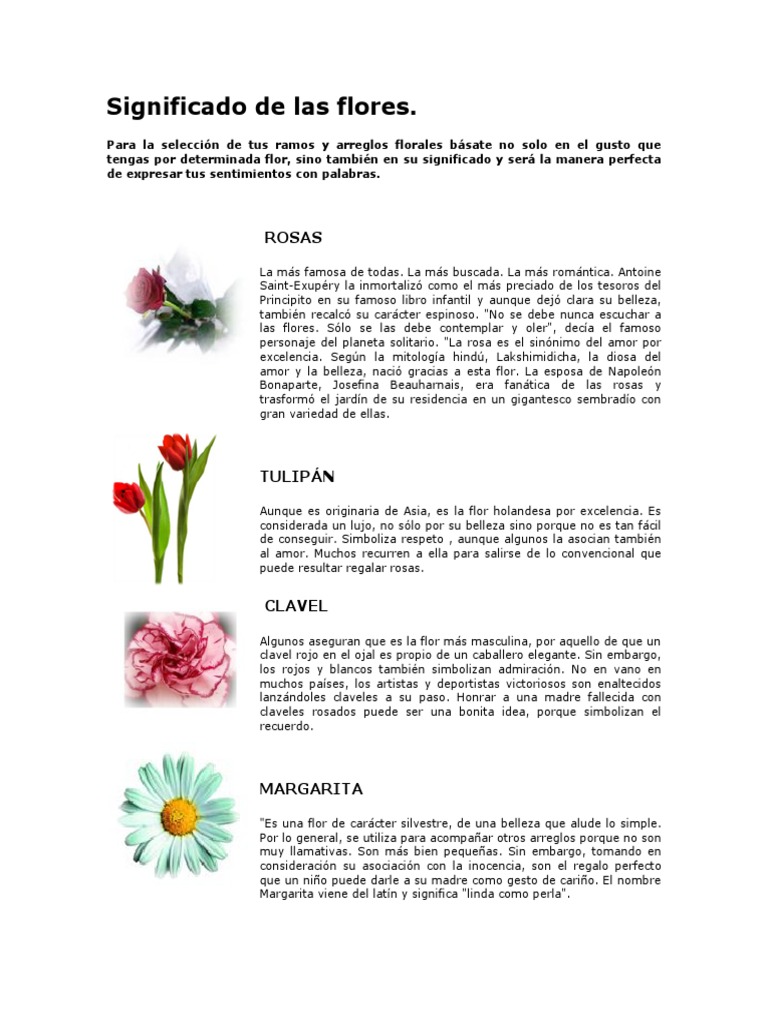 Significado de Las Flores | PDF | Flores | Rosa