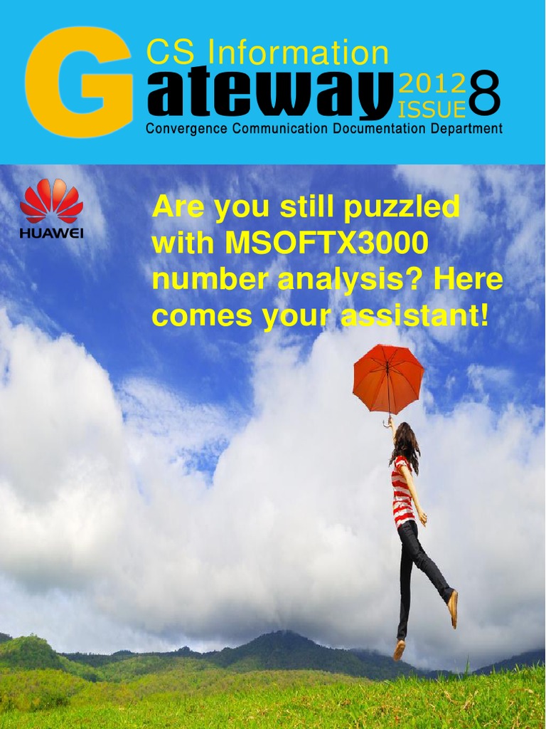 CS Information Gateway - Issue | PDF | Modularity | Documentation