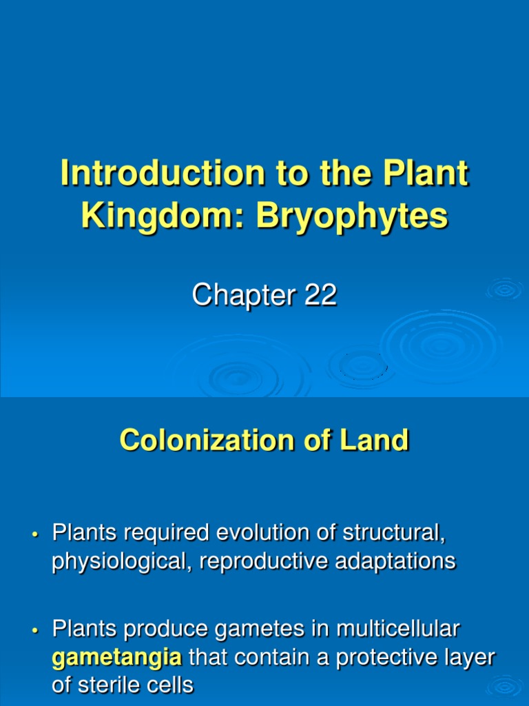 Chapter 22 Introduction To Plant Kingdoms | PDF | Moss | Plants