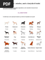 MOCA Test Hungarian | PDF