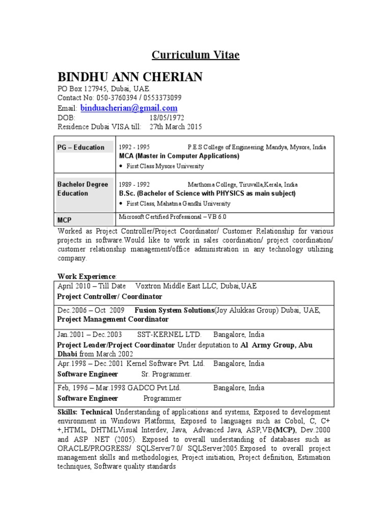 Curriculum Vitae | PDF | Oracle Database | Programmer