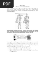 Peta Dermatome dan Inervasi Saraf | PDF