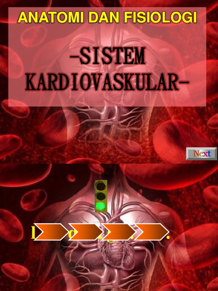 Sistem Kardiovaskular | PDF