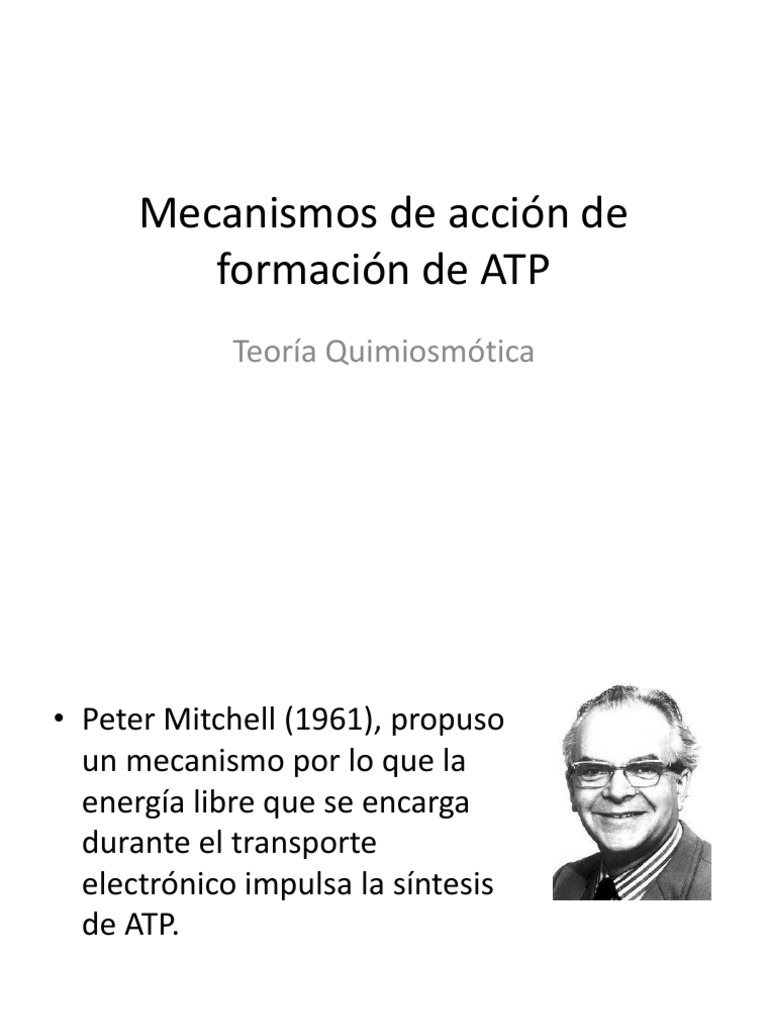 Mecanismos de Acción de Formación de ATP | PDF