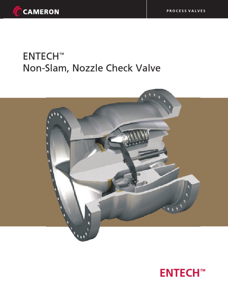 Nozzle Check Valves | Valve | Nozzle