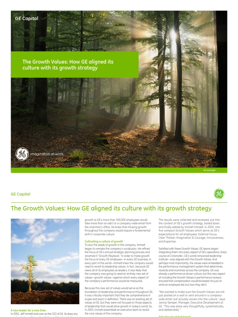 GE Capital Growth Values | PDF | General Electric | Leadership