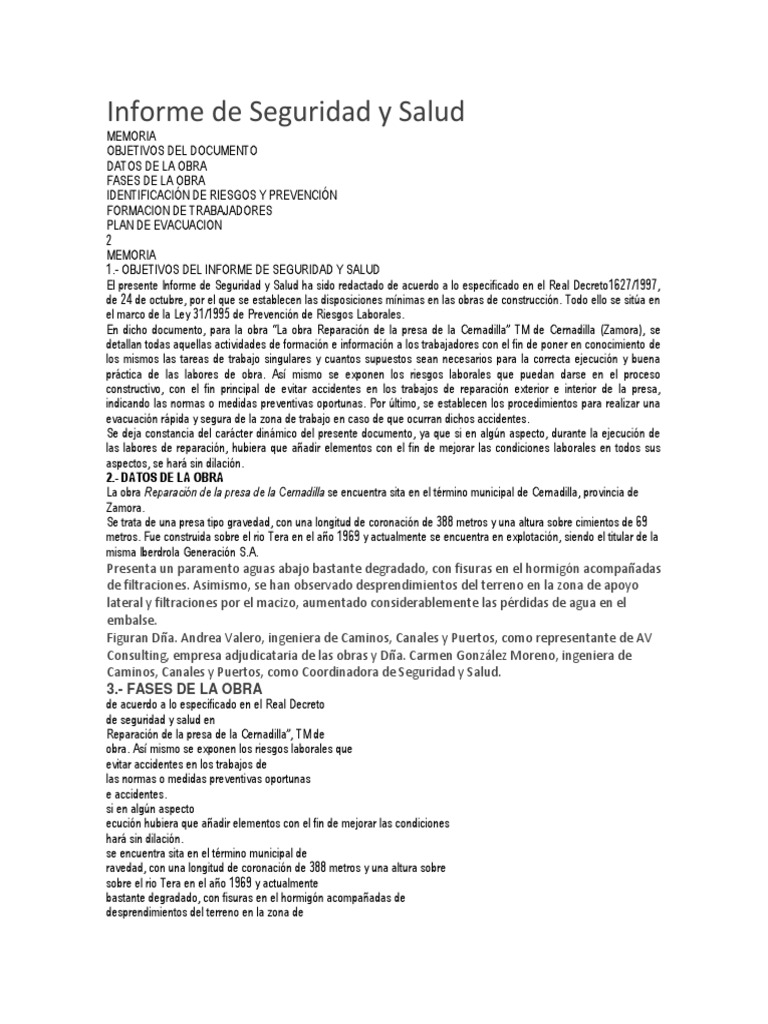 MODELO Informe de Seguridad y Salud EL RETO | Andamio | Derecho laboral