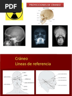 ANEXO TEMA 3 RODILLA-Fosa Intercondilea | PDF | Rodilla | Pelvis