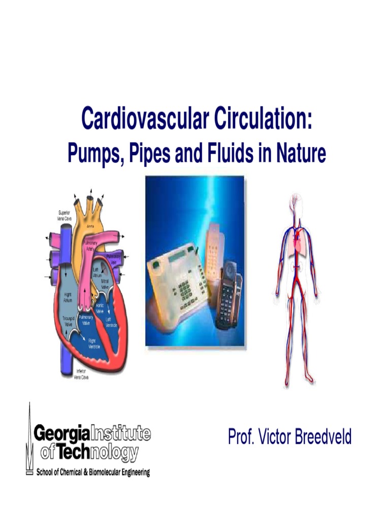 Cardiovascular Fluid Flow | PDF | Heart | Circulatory System