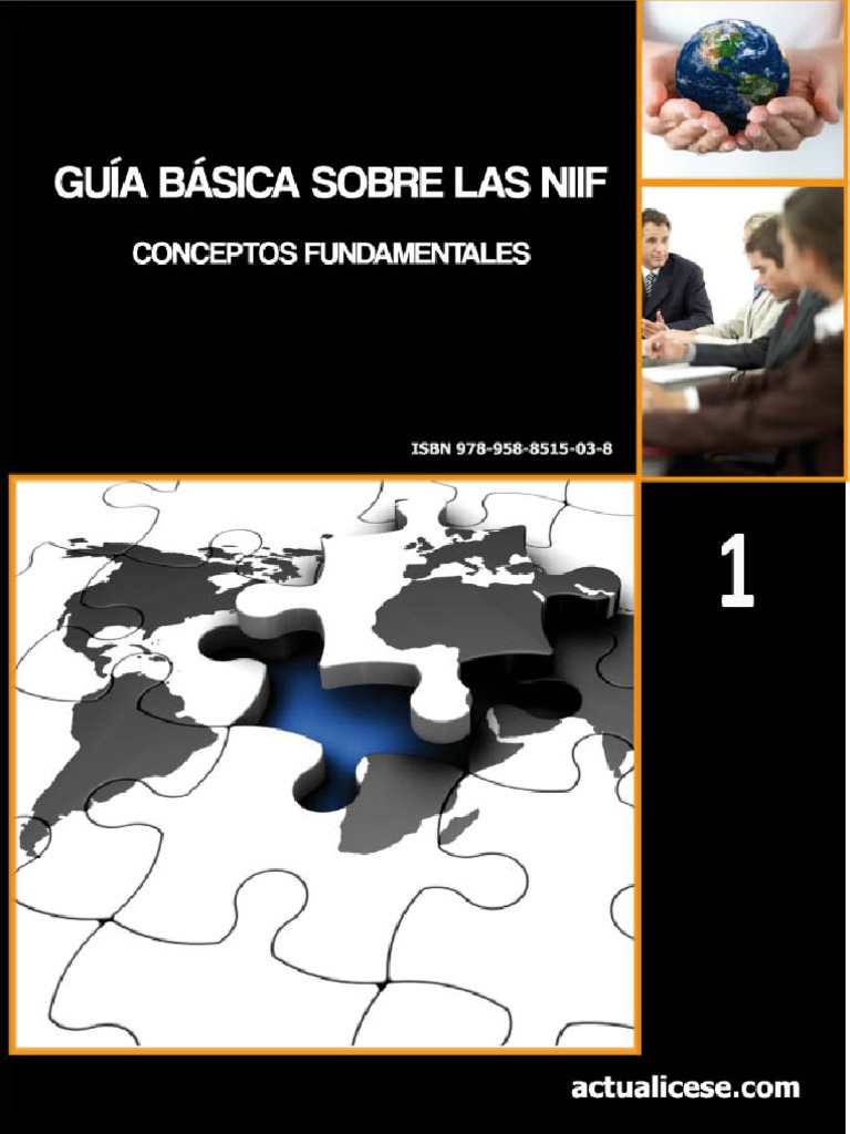 01 Guia Niif | PDF