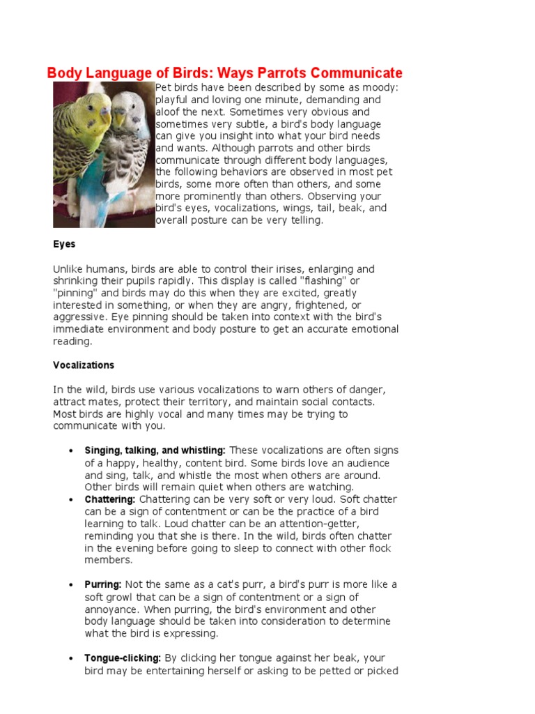 Body Language of Birds | PDF | Birds | Body Language