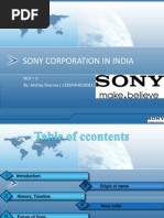 Sky Organizational Chart | PDF