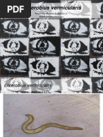 PR K2 Enterobius Vermicularis | PDF | Wellness | Medical