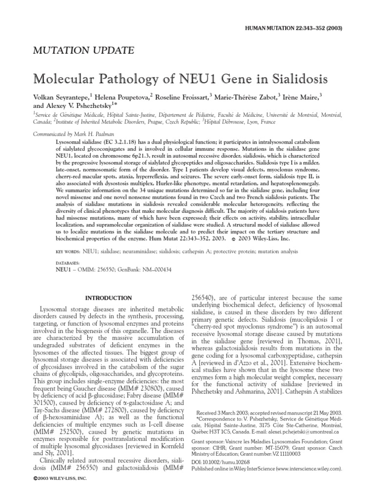 Molecular 1 | PDF | Genetic Code | Mutation
