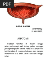 Contusio Musculorum | PDF