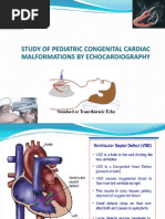 ASE Guidelines for Chamber Quantification | PDF | Ventricle (Heart ...