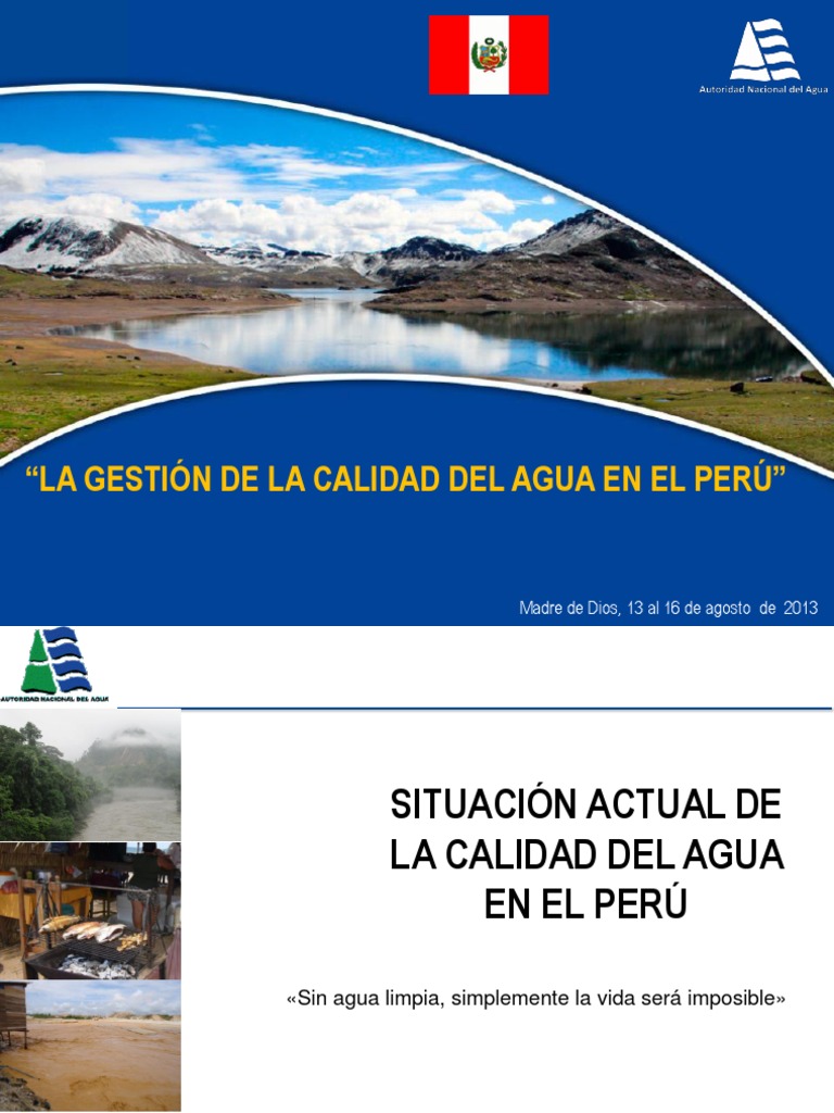Calidad del Agua en el Perú: Diagnóstico Actual | PDF | Mercurio ...