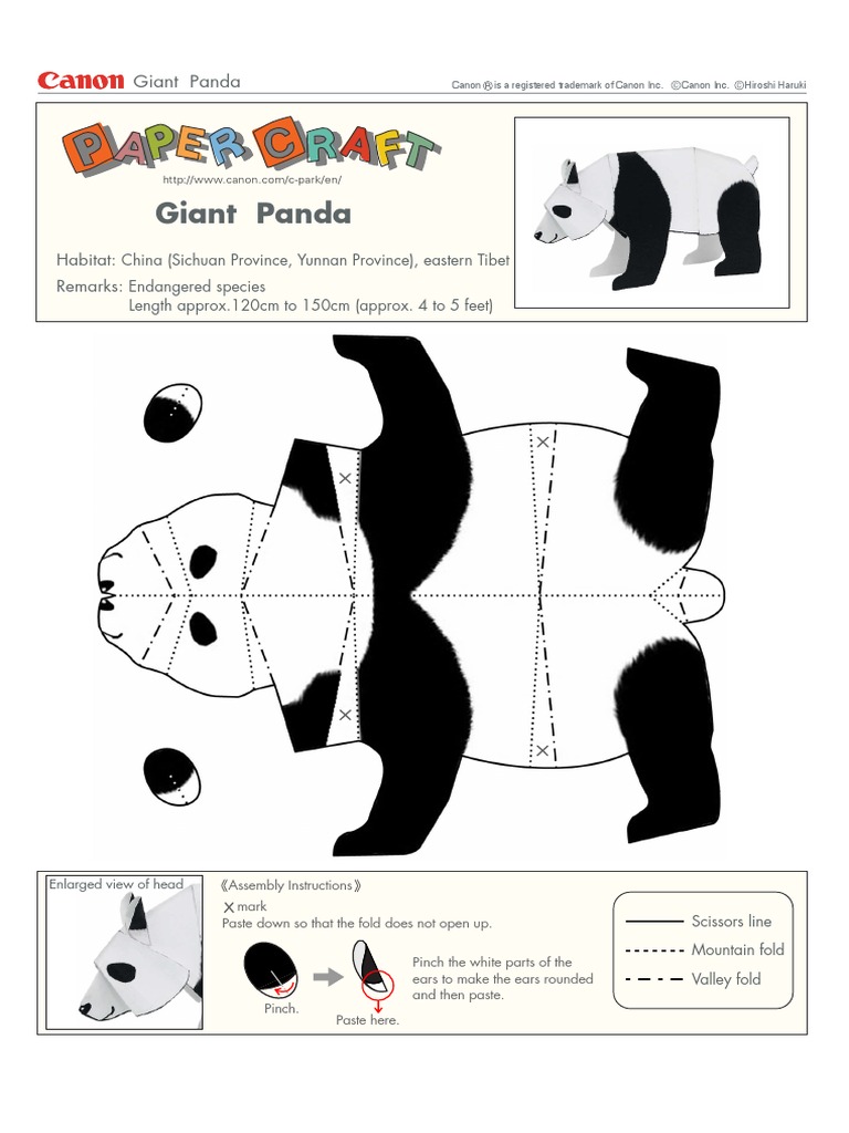 Os Panda | PDF