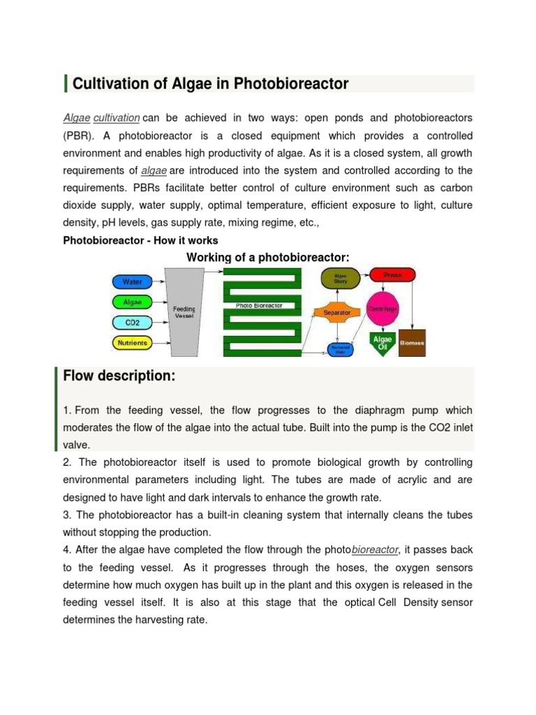 Cultivation of Algae in Photobioreactor | PDF | Algae Fuel | Algae
