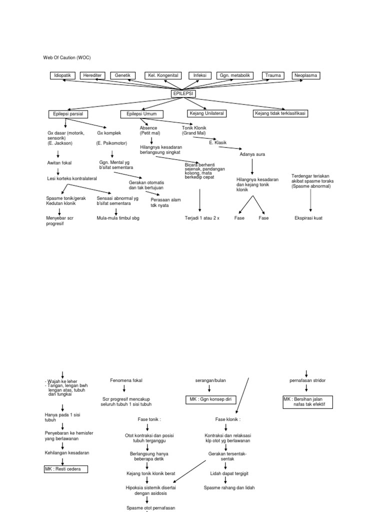 Woc Epilepsi | PDF | Kesehatan Holistik