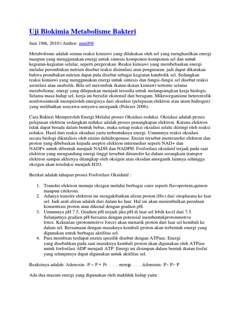 Uji Biokimia Metabolisme Bakteri | PDF