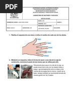 Anatomía y Cuidado de la Rata Wistar | PDF