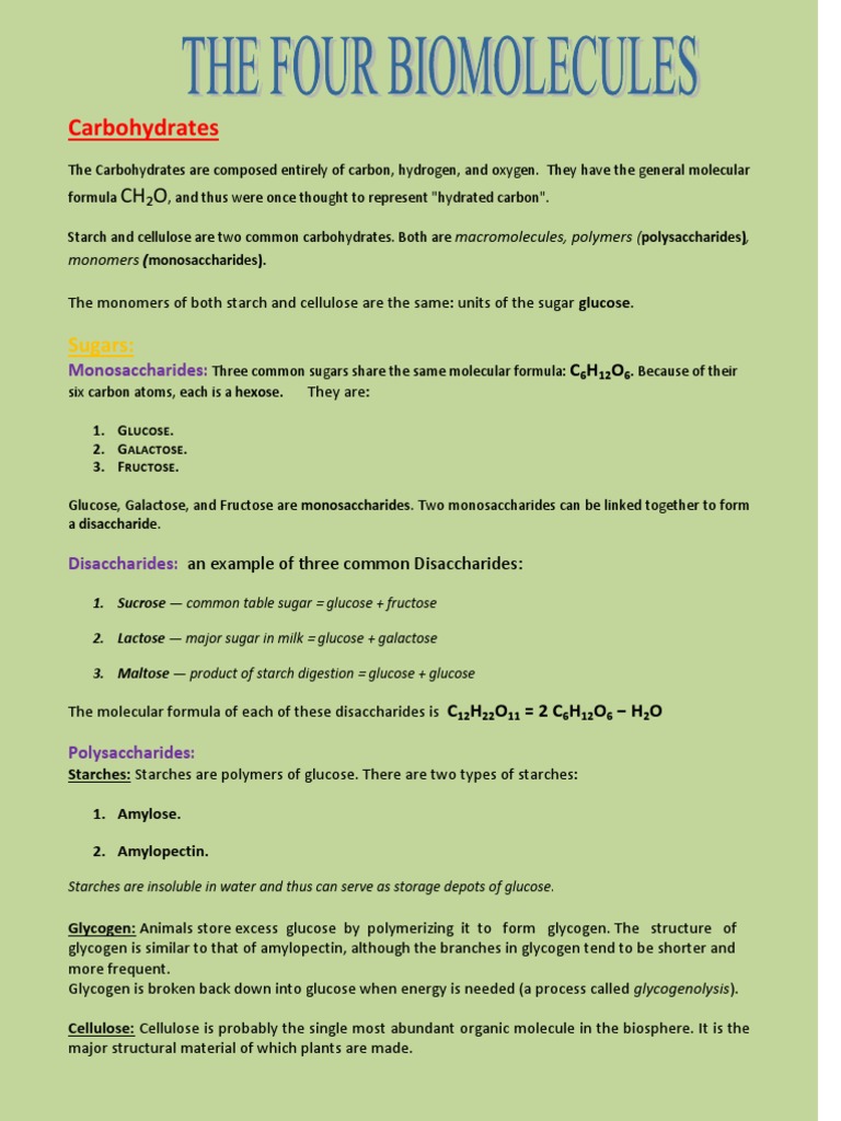 The Four Biomolecules | PDF | Nucleic Acids | Carbohydrates