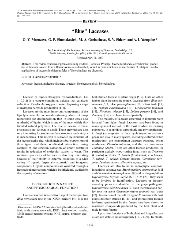 "Blue" Laccases | PDF | Peroxide | Redox