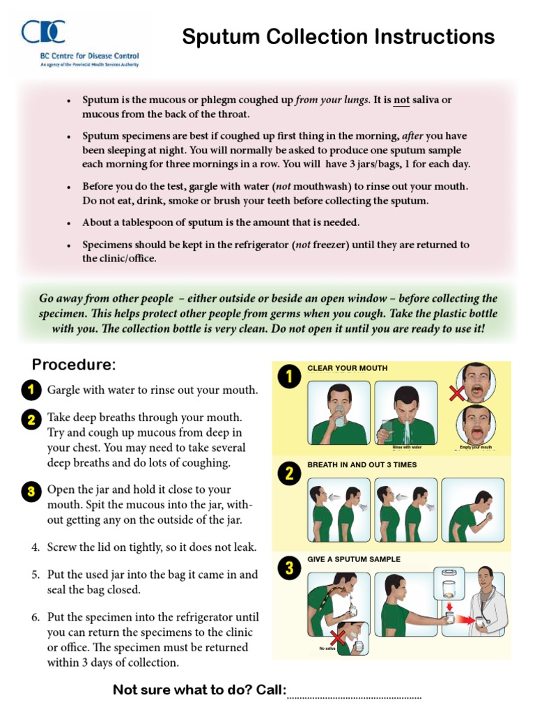 Sputum Collection Instructions | PDF | Wellness