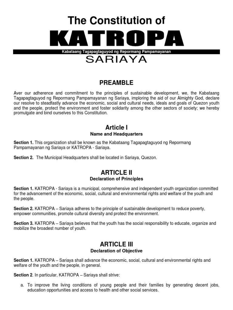 Sample Constitution For Youth Organization | PDF | Committee | Secretary