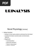 Urine Microscopy Examination Guide | PDF | Medical Specialties ...
