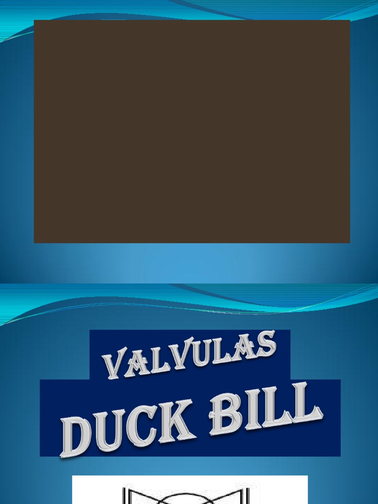 Válvula Duck-Bill: Prevención de Contraflujo | PDF | Tecnologías de gas ...