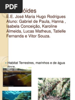 Fleimao | PDF | Medicina Clínica | Especialidades médicas