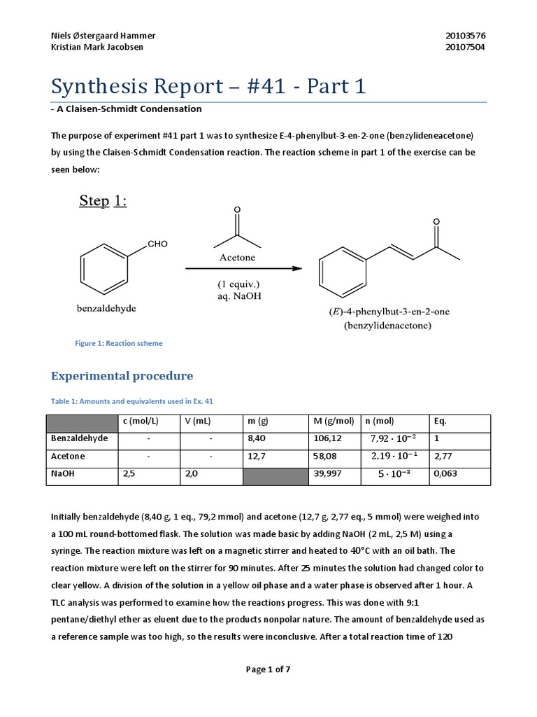 Synthesis Report 41 Part 1 | PDF | Organic Chemistry | Chemistry