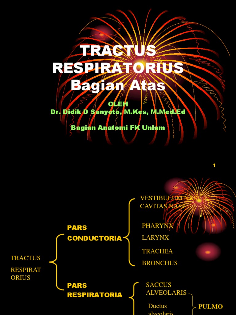 Tractus Respiratorius Anamnese – YRCKY