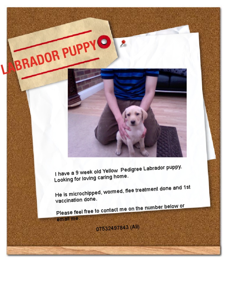 Puppy Poster | PDF