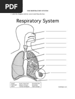 Reaction Time Conversion Table | PDF