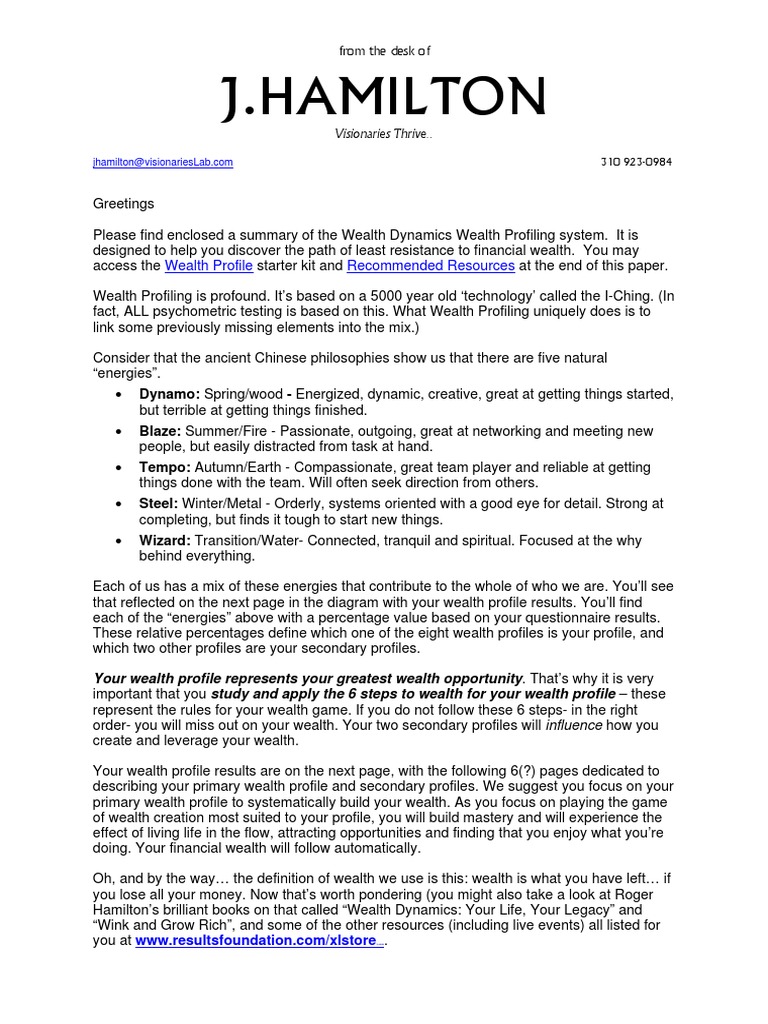 Wealth Dynamics Profiles Explained | PDF | Leverage (Finance) | Wealth