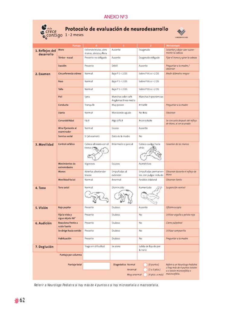 Protocolo Eval Neurosensorial | PDF | Neurología | Ojo