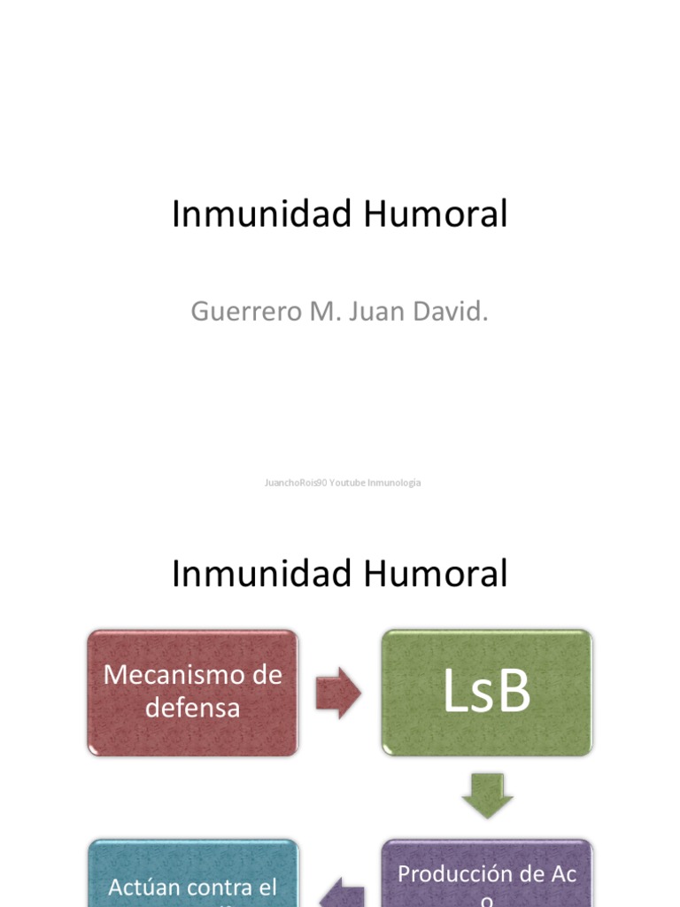 Inmunidad Humoral | PDF | Inmunidad humoral | Anticuerpo